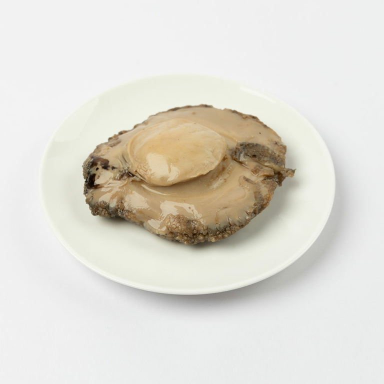 Jumbo Wild Caught Blacklip Abalone - Home's Favourite